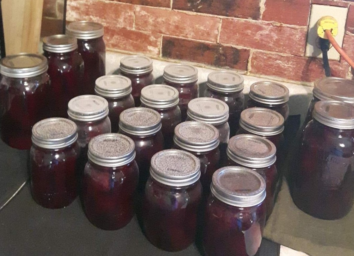 My Great Grandmothers Old Fashion Beet Recipe - The Good Gardener