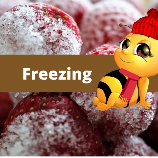 Shop - The Good Gardener